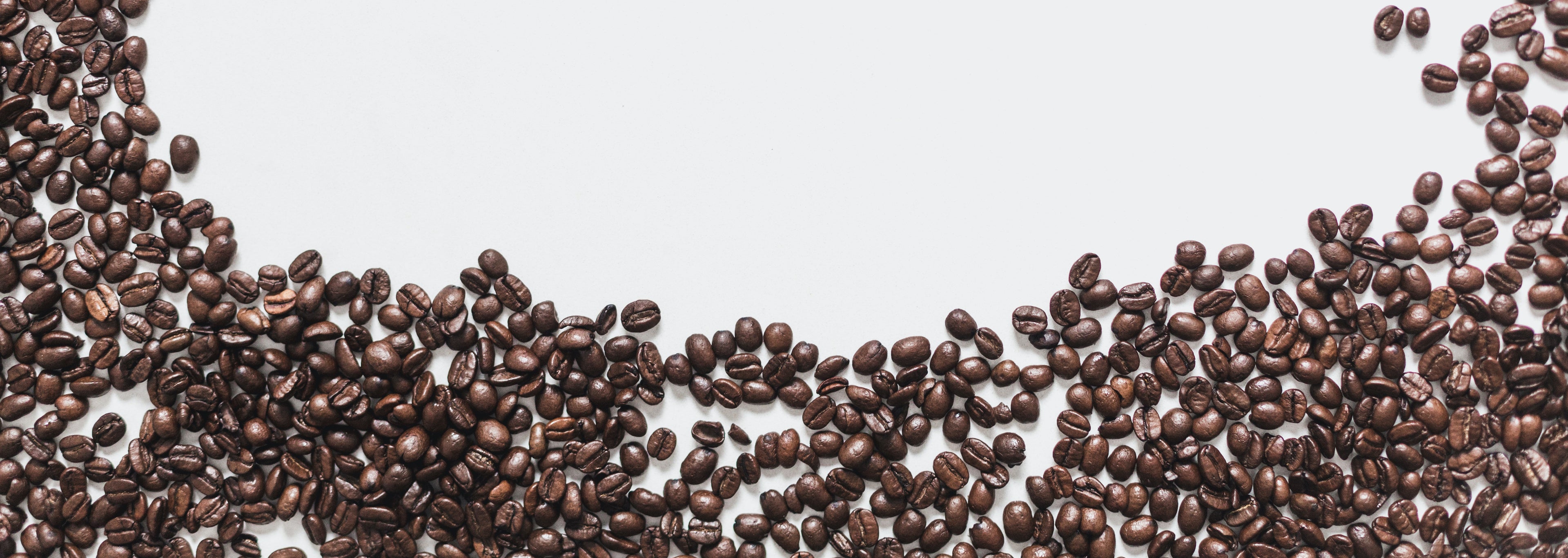 Stories – Buzz Brothers